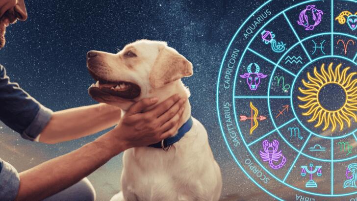 These 6 Zodiac Signs Share the Strongest Connection with Animals ...