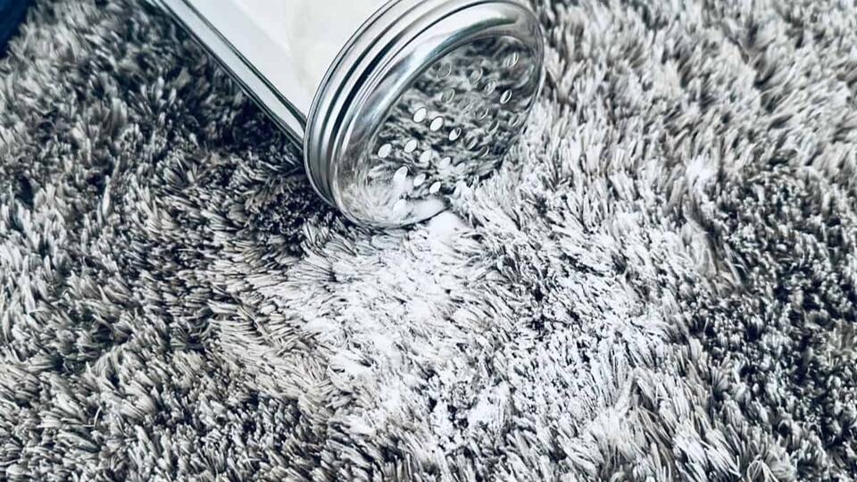 This 2-Ingredient Carpet Powder Made My House Smell Incredible - NewsBreak
