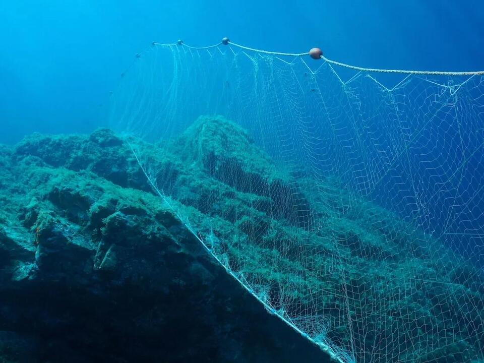 Assembly Bill Would Create New Rules for Commercial Fishing in ...