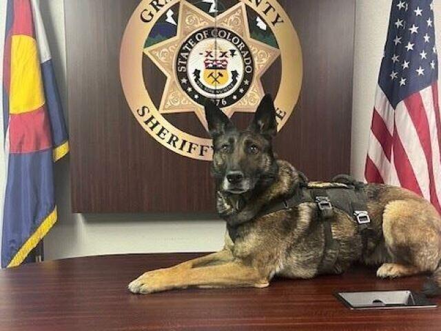 Grand County K9 discovers fentanyl, methamphetamine during traffic stop