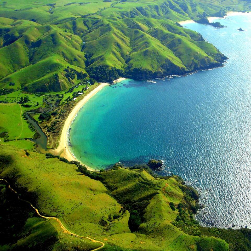 Why Are There No Snakes in New Zealand? The Curious Evolutionary ...