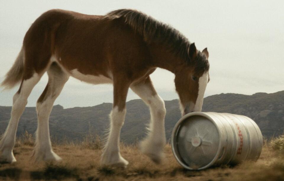 Budweiser Releases Heartwarming 2025 Super Bowl Commercial “First ...