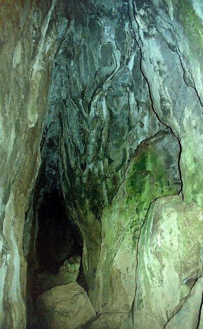 Creatures of the Deep: What Lives in the Lightless Depths of Veryovkina ...