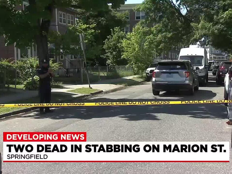 2 dead, 1 seriously injured after stabbing on Marion Street in Springfield