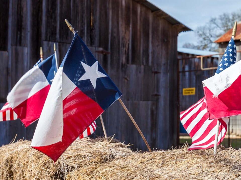 32 Great Facts About Texas Revolution