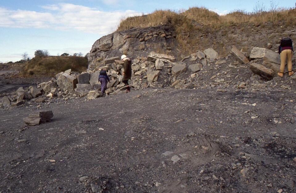 5 Fossil Quarries in Utah Where New Species Were Discovered - NewsBreak