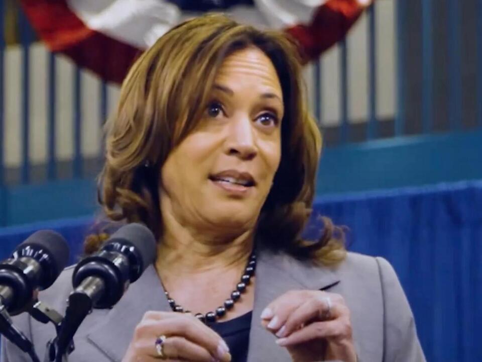 FACT CHECK: Harris was Biden’s second 'border czar,' despite recent ...