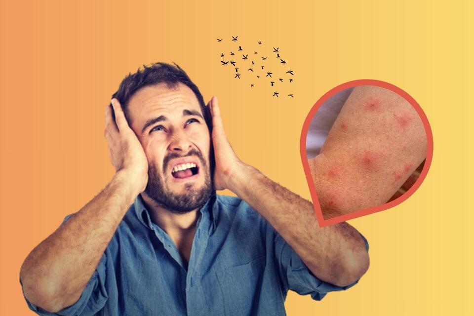 How To Protect Yourself From Tiny Annoying Bugs That Bite in MN - NewsBreak