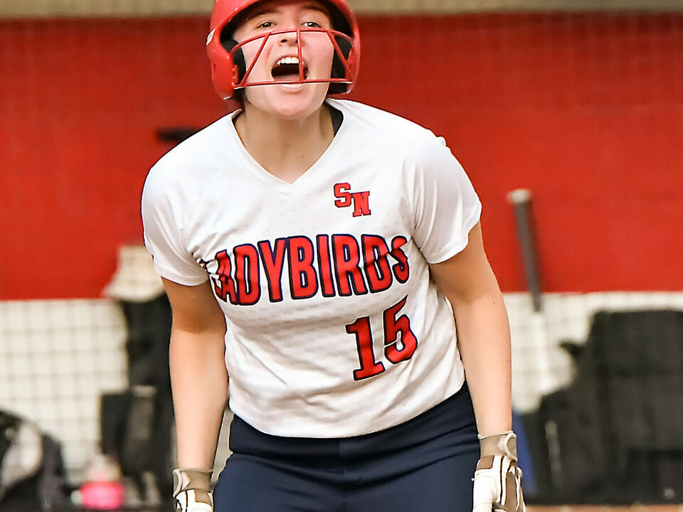 Ladybirds' season ends after loss to Dixon in 3A softball playoffs