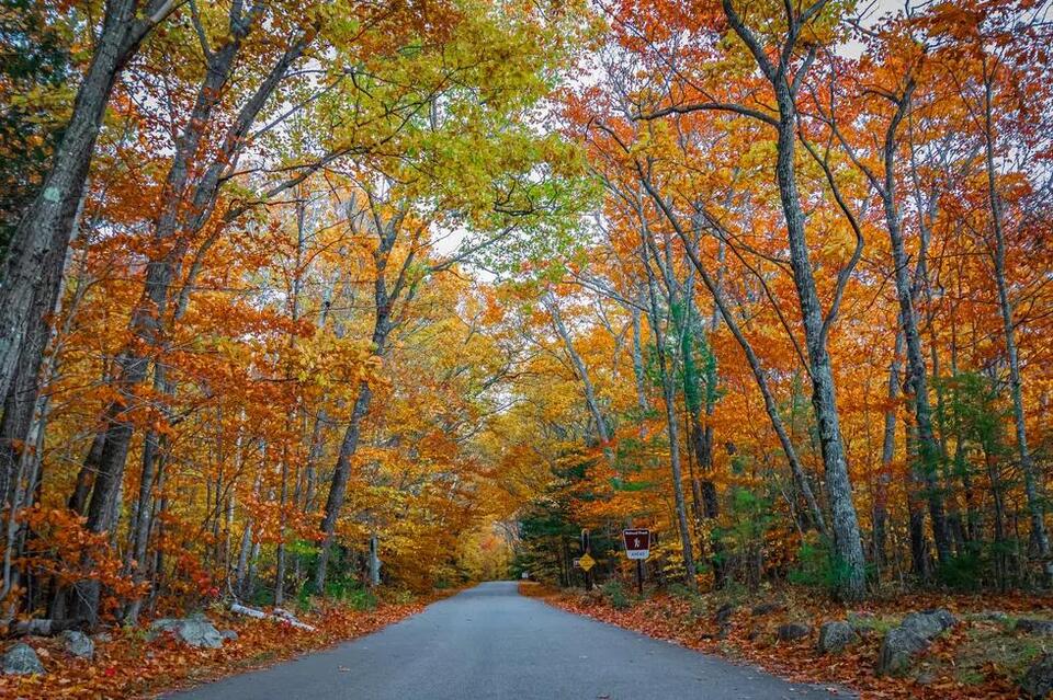 Old Farmer’s Almanac Fall 2025 Forecast for Kentucky - NewsBreak