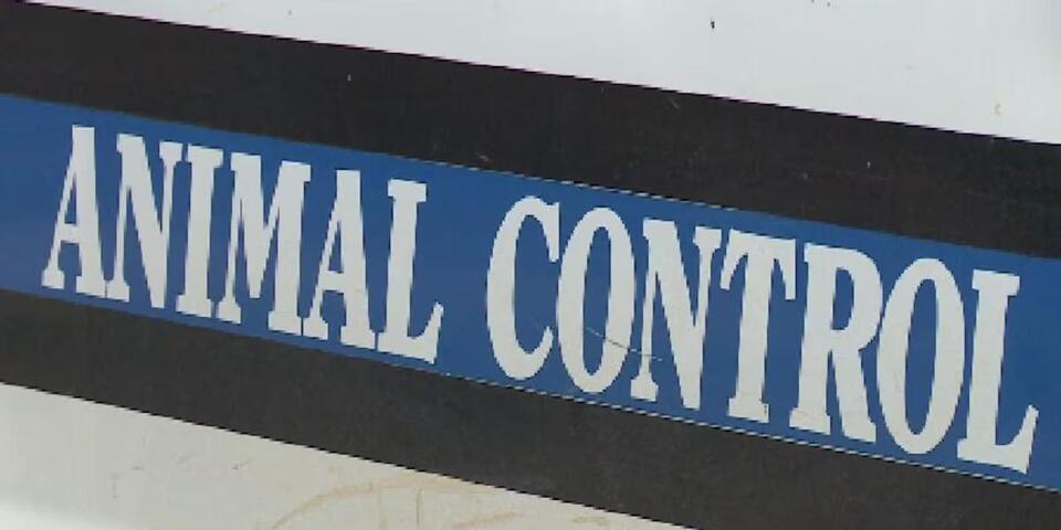 Move Over or Slow Down law now includes animal control vehicles under ...