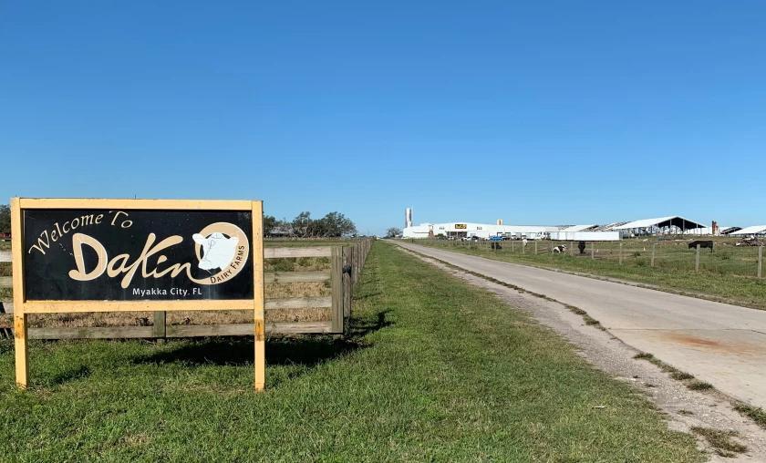 Dakin Dairy Farm in Myakka City will remain in the family - NewsBreak
