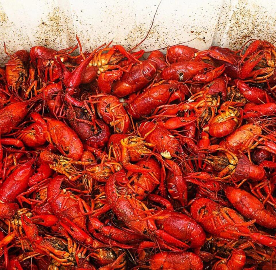 Louisiana's 5 Best Kept Secret Crawfish Buffets - NewsBreak