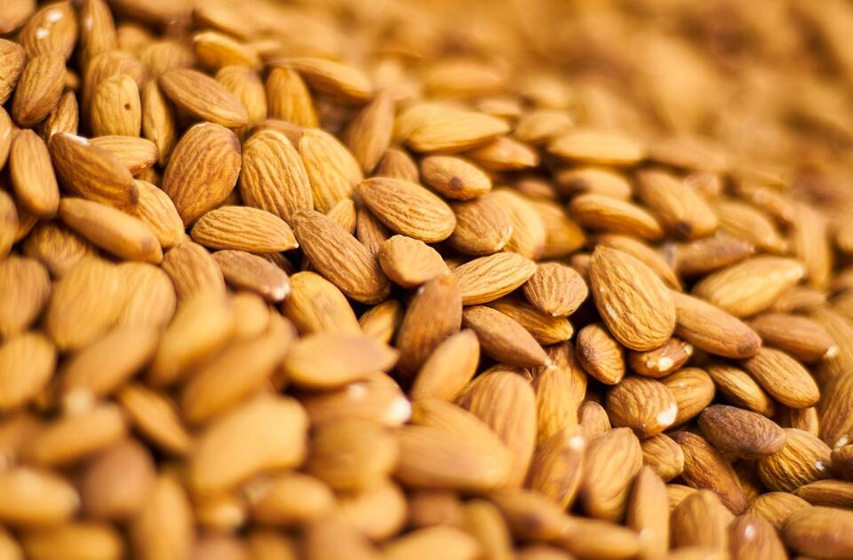 Healthiest Nuts Listed from Worst to Best - NewsBreak