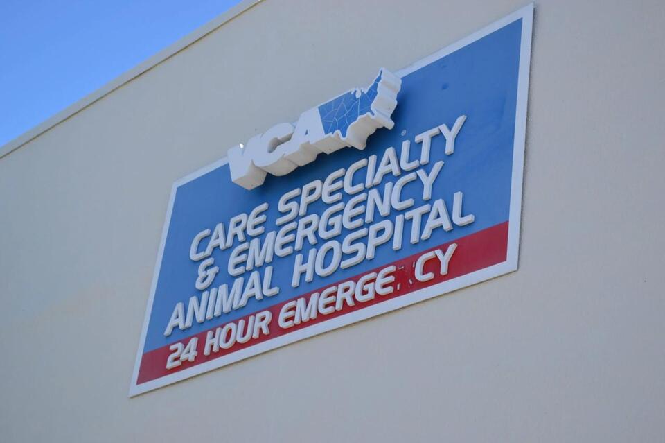 Santa Barbara’s 24/7 VCA Animal Hospital to Close Permanently - NewsBreak