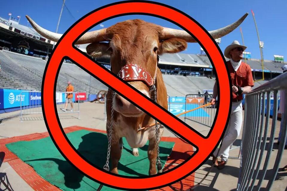 Free Bevo! Texas Mascot Banned From College Football Playoff Game ...