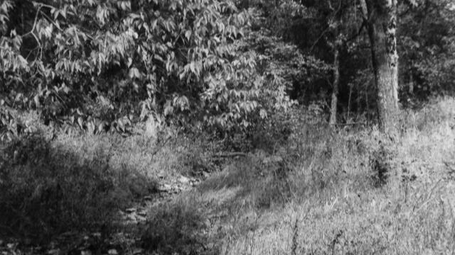 Kansas history: the 1858 Marais des Cygnes Massacre in Linn County ...