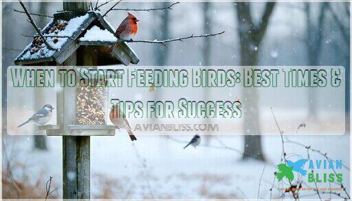 When to Start Feeding Birds: Best Times & Tips for Success (2025 ...