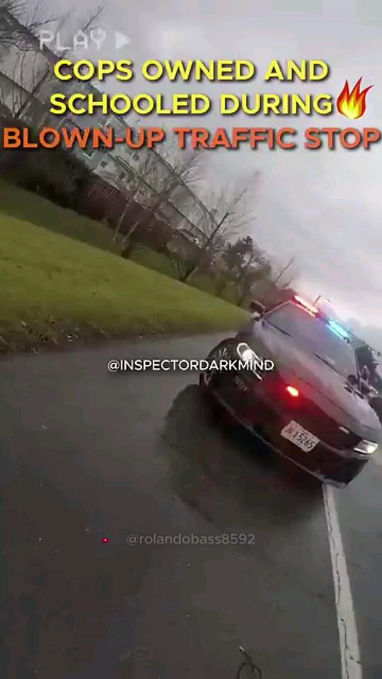 'Roll Your Window Down!' Cops Get Owned and Schooled During A Traffic ...