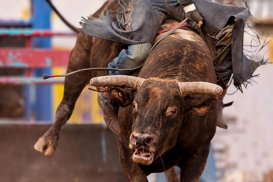 Win Rodeo Tickets - NewsBreak