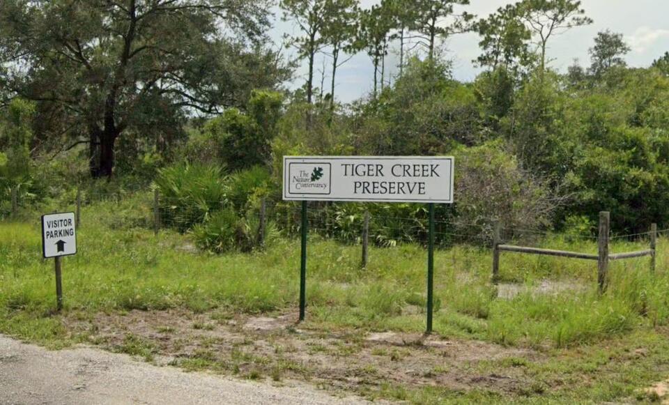 Woman canoeing in Florida river attacked and killed by alligator ...