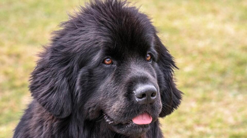 Khalen Saunders Is Coming for Brother Kam Saunders' Eras Tour Crown ...