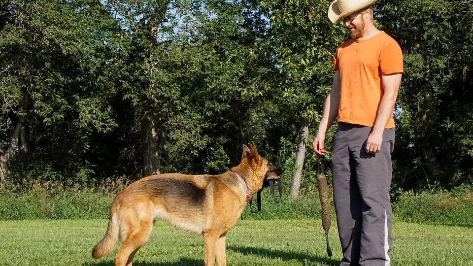 5 Ways Dogs Say “I Forgive You” – And 3 Times They Don’t - NewsBreak