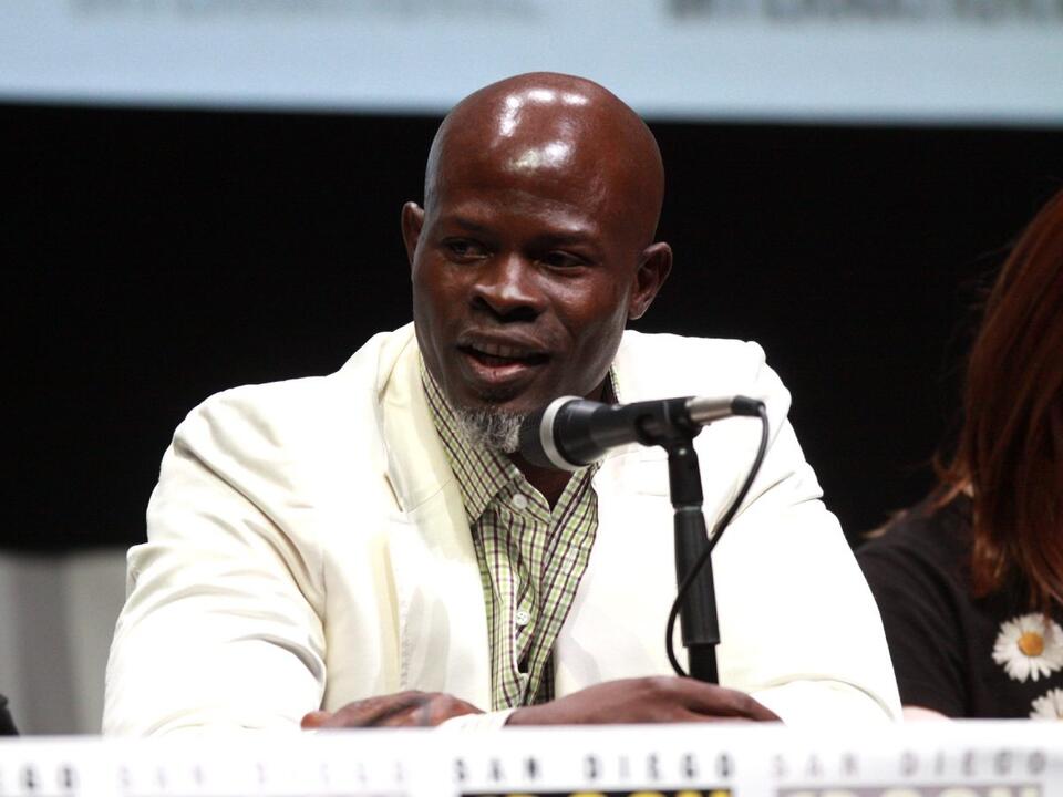 Djimon Hounsou’s ex-girlfriend arrested after he accused her of ...