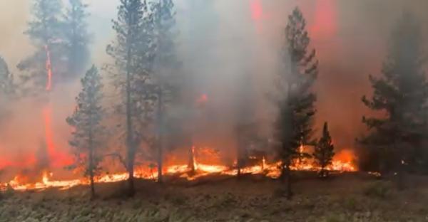 Battle Mountain Complex almost 20% contained - NewsBreak