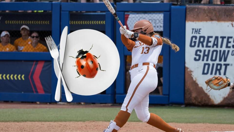 PETA Will Not Approve Of Texas Softball Player’s Psychotic Ladybug ...