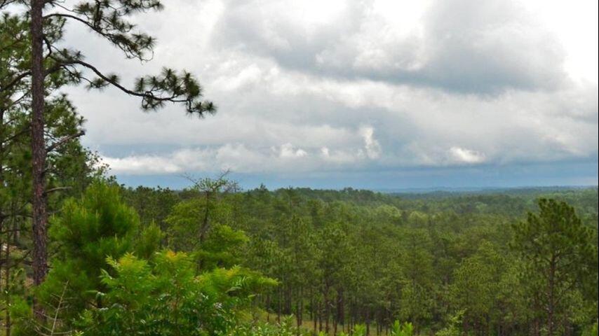 Hunting season still open at Kisatchie National Forest despite ...