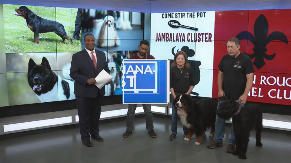 Jambalaya Cluster Dog Show returns to Gonzales - NewsBreak