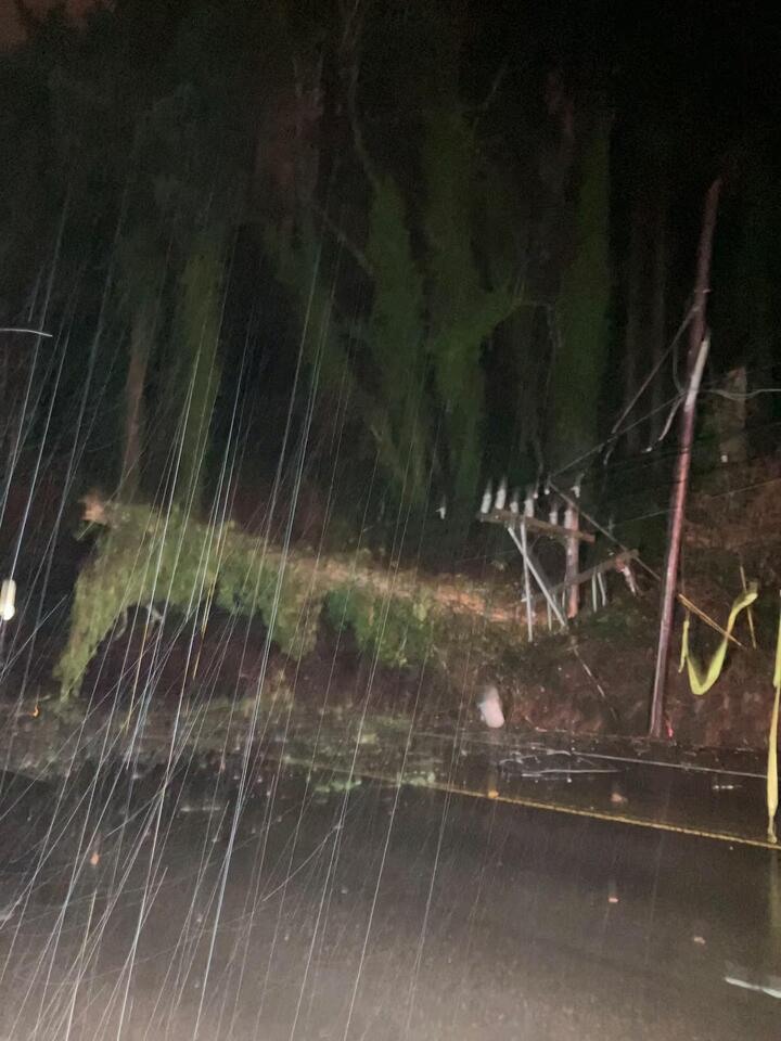 Hwy 43 closed near Lake Oswego due to downed trees, power lines - NewsBreak