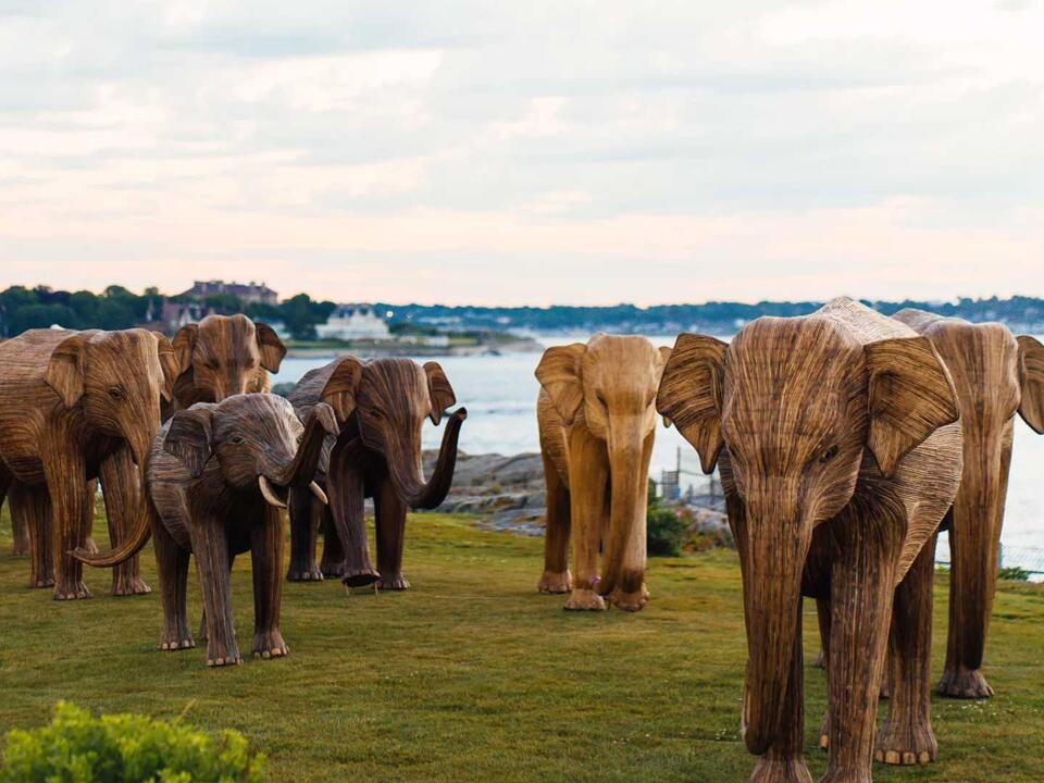 A herd of 100 life-size elephant replicas are moving across the U.S.