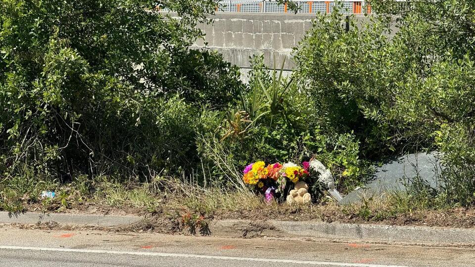 Two 20-year-old women identified as victims of fatal hit-and-run in ...