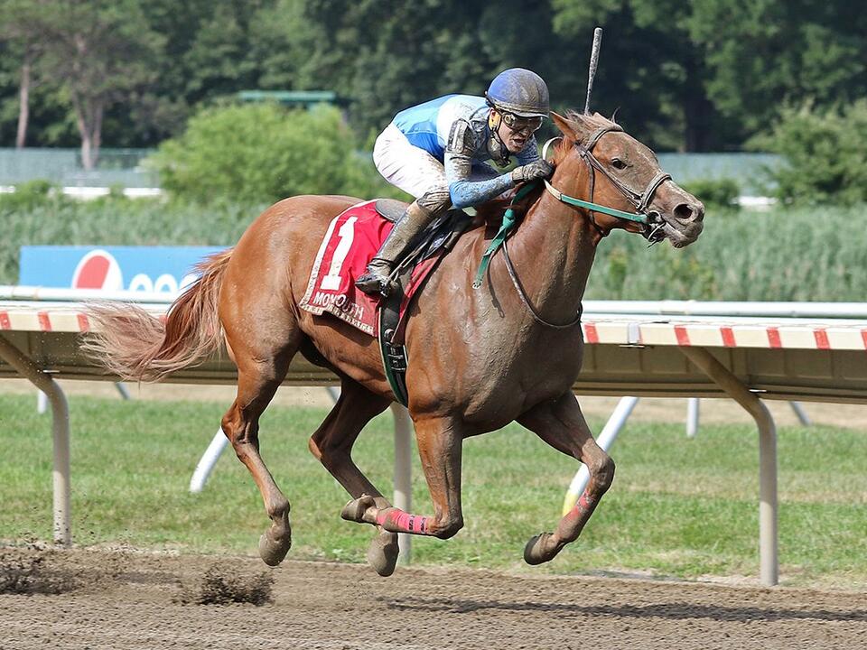 Reclusive gives jockey Chris Elliott first stakes win