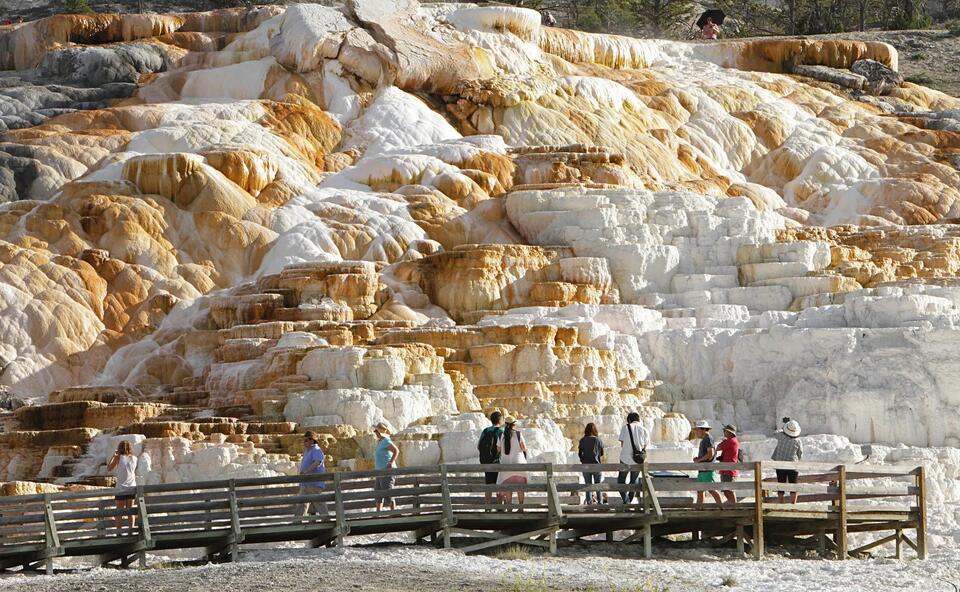 Pierce Brosnan issues apology for ‘impulsive mistake’ at Yellowstone ...