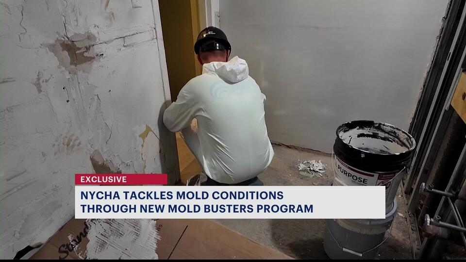 New program aims to tackle mold issues for NYCHA tenants - NewsBreak