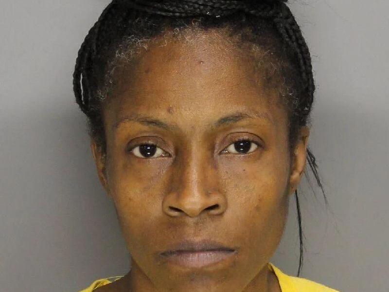 Woman Accused of Escaping from Moving Police Car