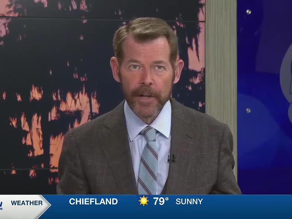 ‘One of the most bizarre murders’: UF pre-med student stabs mother 70 ...