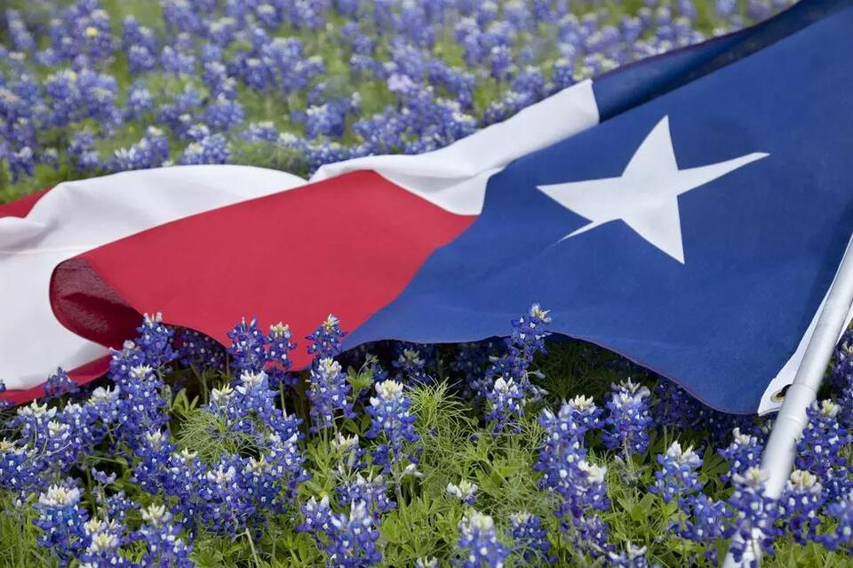 National Texas Day Is Almost Here And It’s Time To Celebrate - NewsBreak