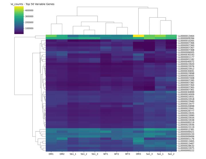 Deep Learning Pipeline with GPT-2 XL and H100 GPUs Analyzes Epilepsy ...