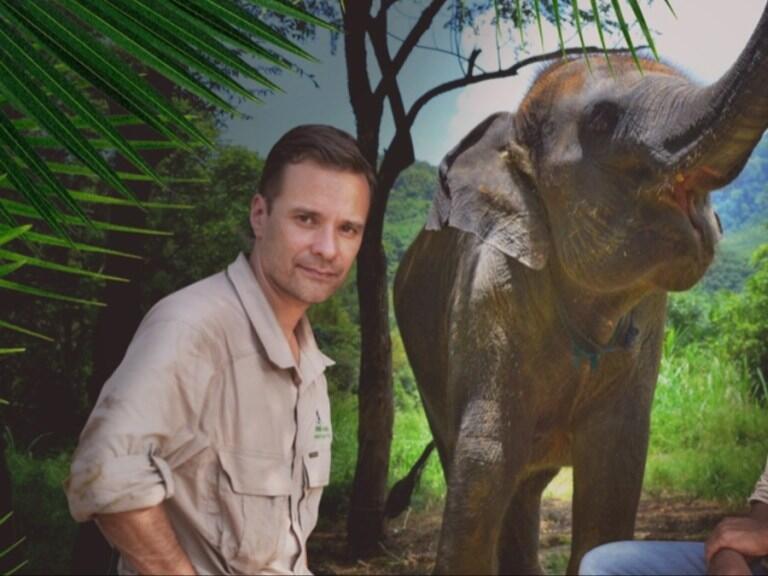 Jungle Animal Rescue Season 1 Streaming: Watch & Stream Online via ...