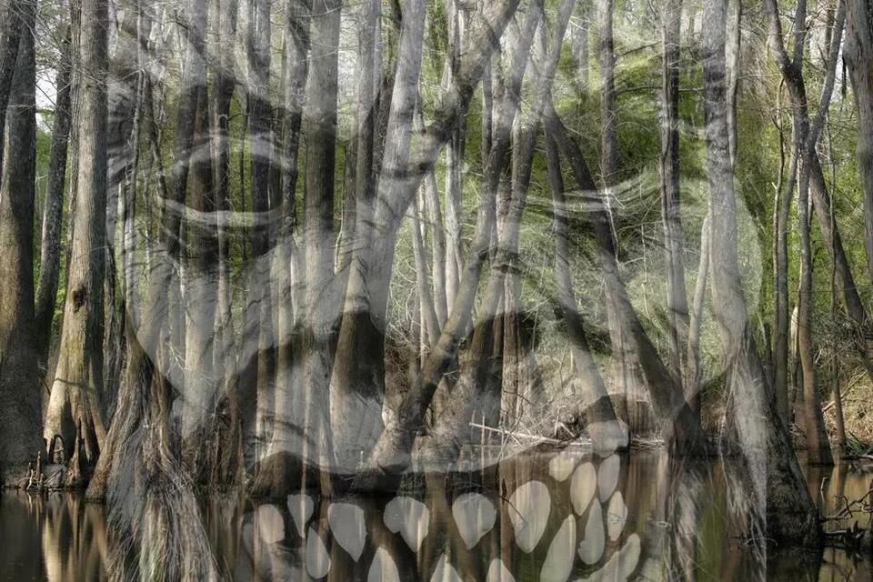 Iconic Terror Strikes In New Horror Movie Being Made In Texas - NewsBreak