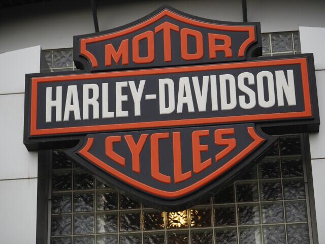 Dissident shareholders fail to oust Harley-Davidson CEO from board seat ...