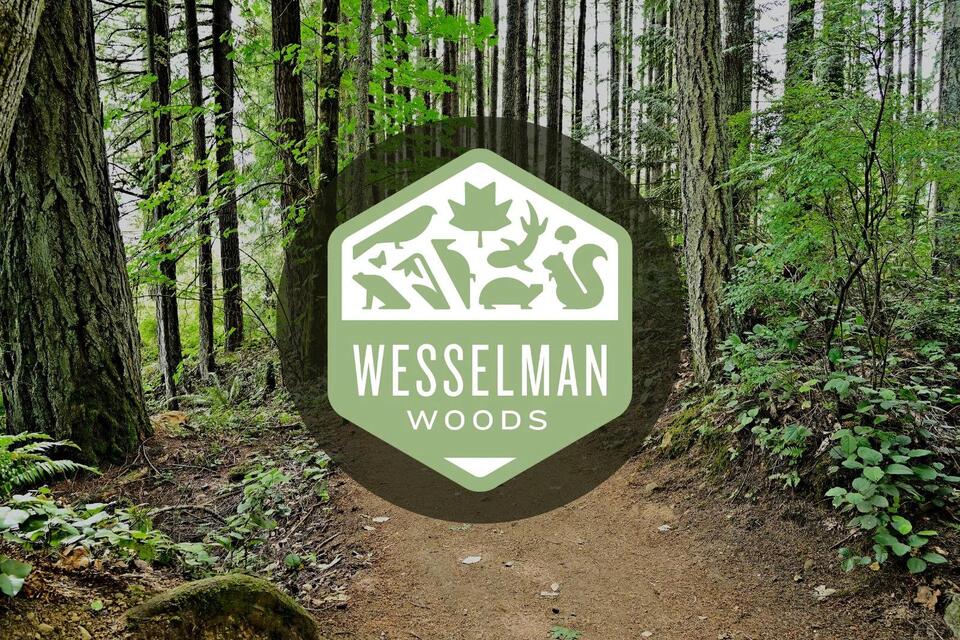 Wesselman Woods 2025 Environmental Studies Courses - NewsBreak