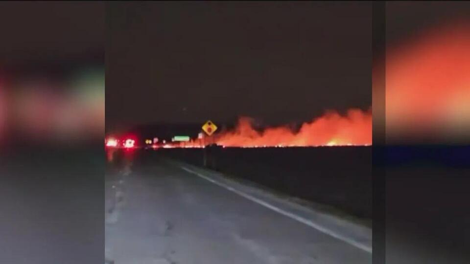 Fire at Cook County forest preserve under investigation - NewsBreak