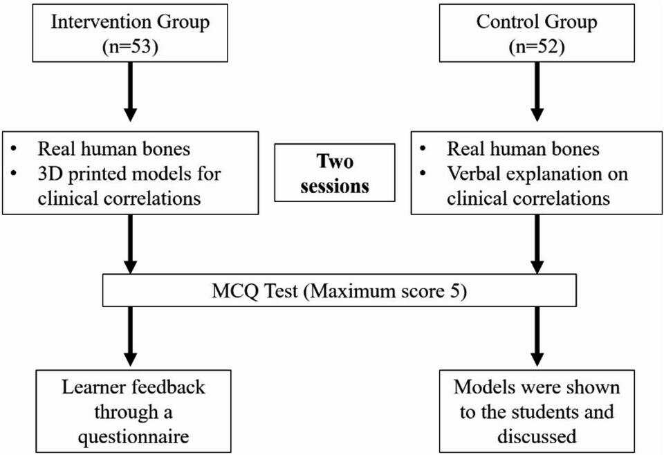 Introducing 3D printed models of fractures in osteology learning ...