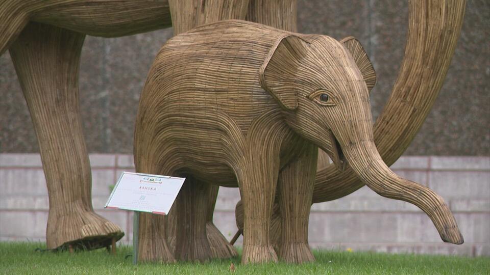 'The Great Elephant Migration' featuring 100 life-sized sculptures ...