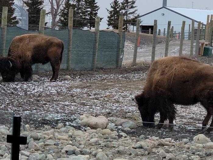 “Month of Marge” Kicks off at Red River Zoo